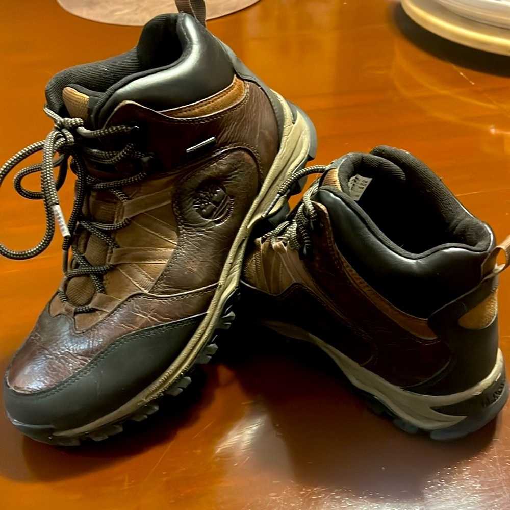 Men’s Timberland Hiking/Utility/Work Boots. Weather R… - Gem